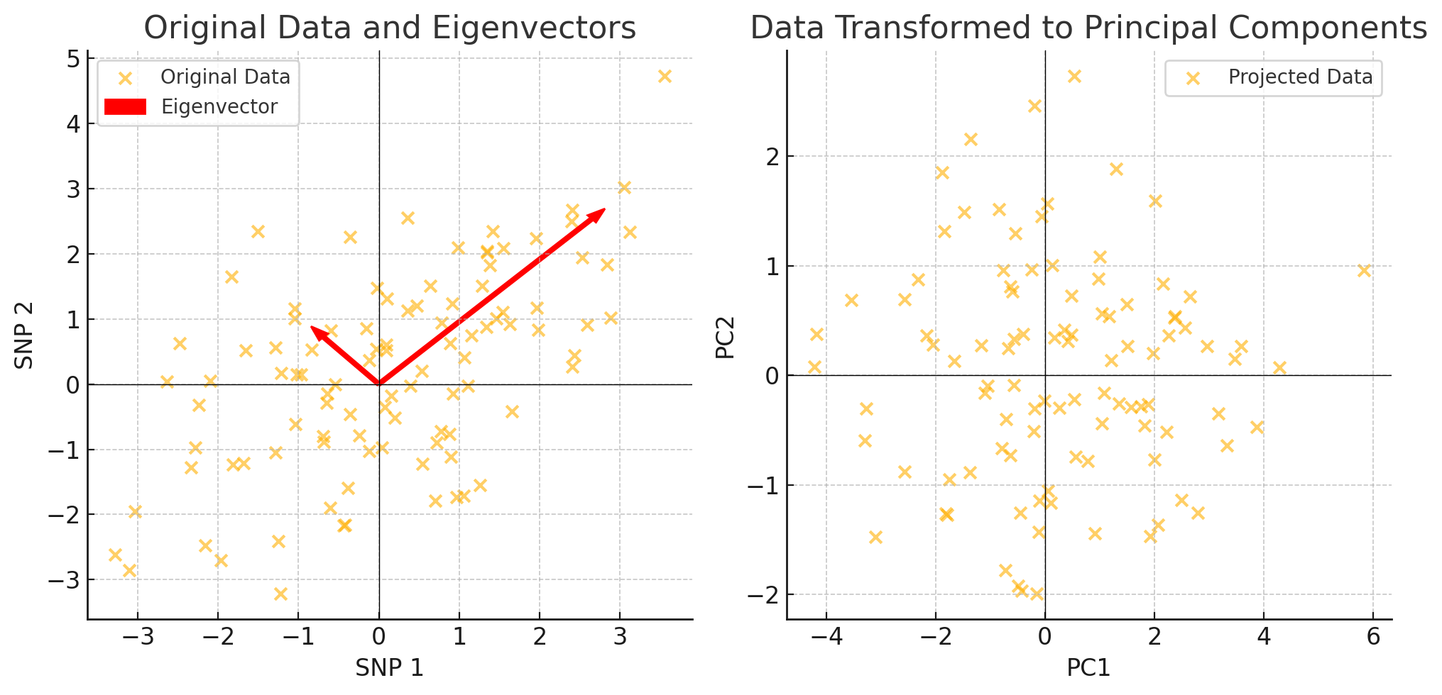 Objective Method for Determining White Genetic Cluster Membership ...