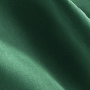 Flag of Cascadia – Cascadia National Interest Council